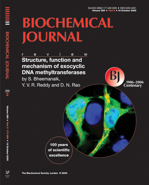 Statins Inhibit The Dimerization Of β Secretase Via Both Isoprenoid