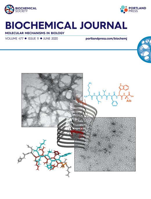 Bioinformatic and experimental evidence for suicidal and catalytic ... Bioinformatic and experimental evidence for suicidal and catalytic ...